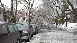 Downed Power Line Safety | National Grid